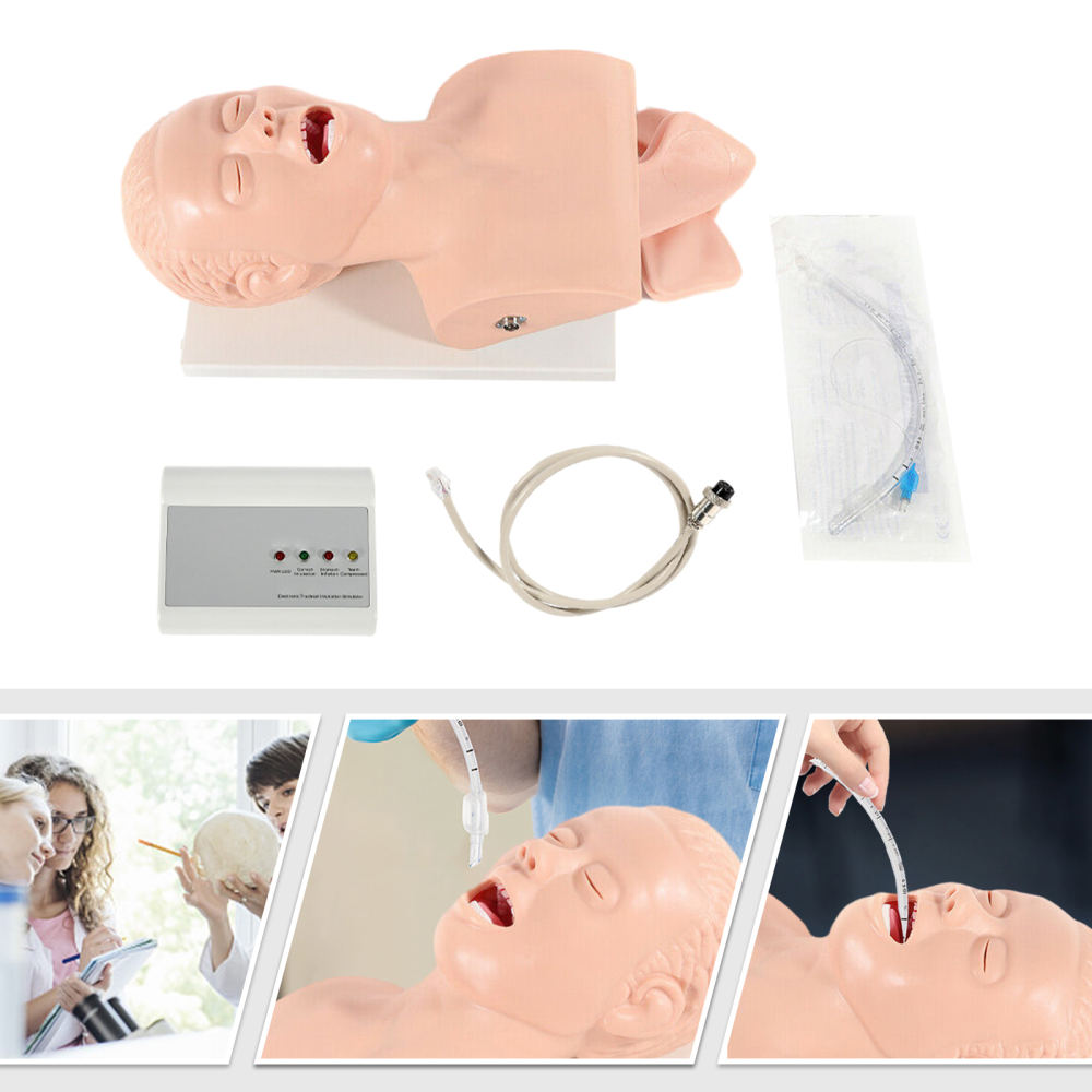 CNCEST Teaching Intubation Model