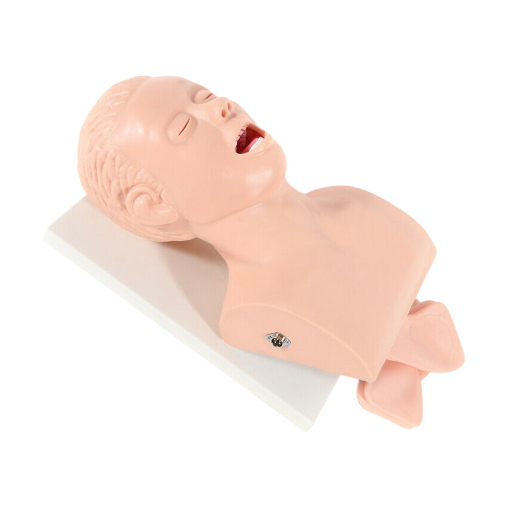 CNCEST Teaching Intubation Model