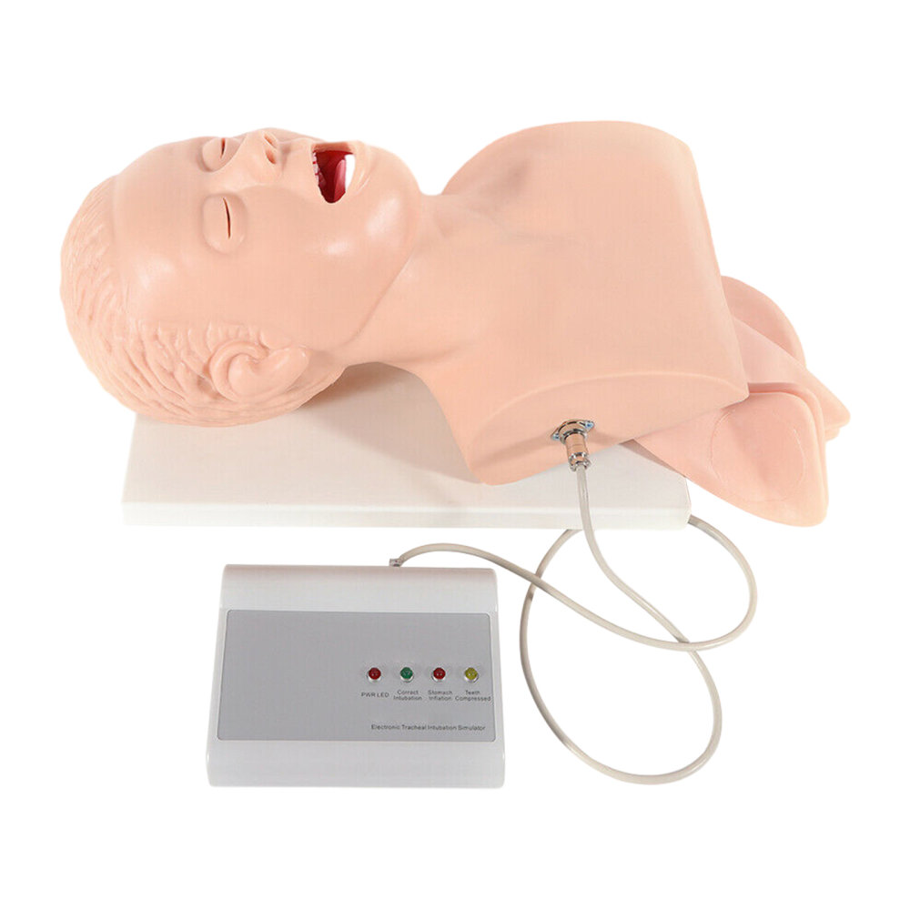 CNCEST Teaching Intubation Model